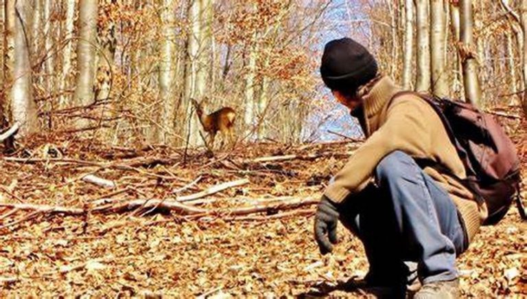 Geoffroy Delorme - L'Homme-chevreuil : Sept ans de vie sauvage ...
