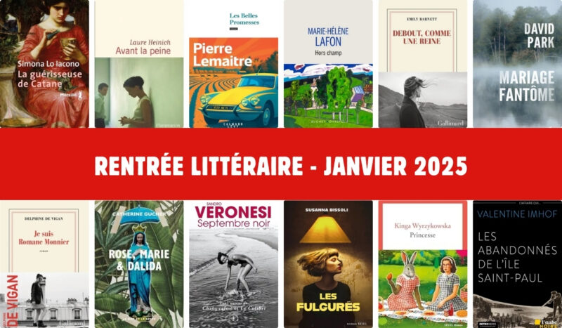 Rentrée littéraire, janvier 2026 : Nos 20 romans favoris - Benzine Magazine